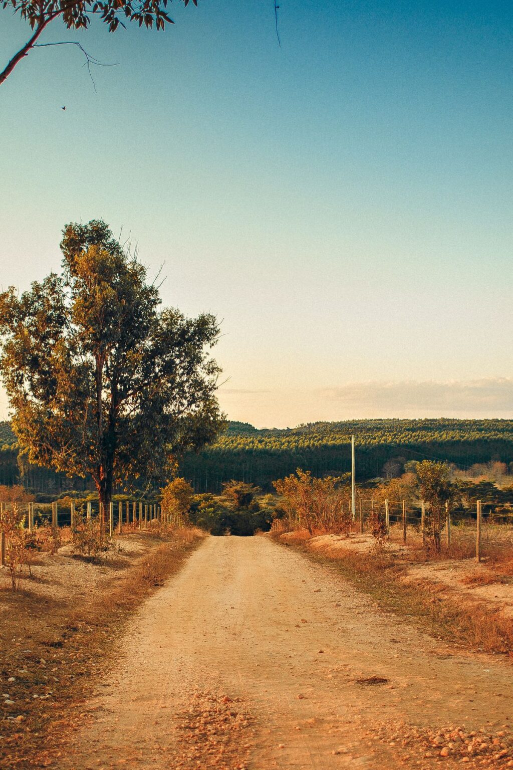 Estimate Dirt Yardage: Calculate for Soil, Fill & Topsoil